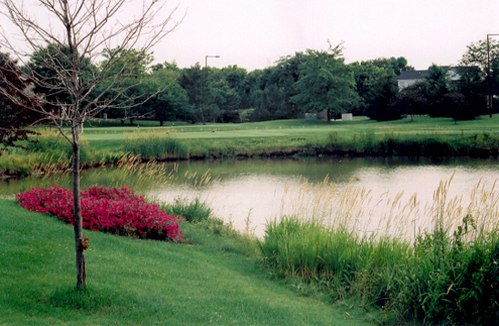 Photo Gallery - The Arboretum Club